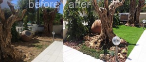 Solomou Garden Centre | Cyprus inform