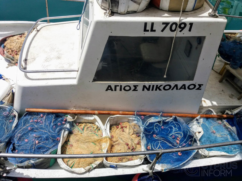 About fish and sharks in Cyprus | Cyprus Inform | Cyprus inform